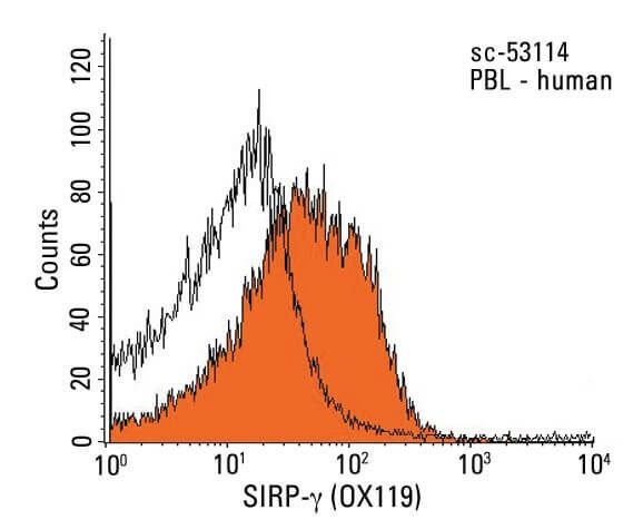 SIRP-γ Antibody (OX119) | SCBT - Santa Cruz Biotechnology