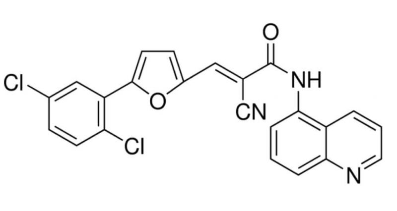 SIRT2 Inhibitor, AGK2 | CAS 304896-28-4 | SCBT - Santa Cruz Biotechnology