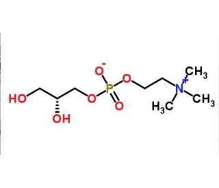 sn-Glycero-3-phosphocholine | CAS 28319-77-9 | SCBT - Santa Cruz ...