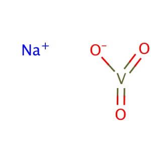 Sodium metavanadate | CAS 13718-26-8 | SCBT - Santa Cruz Biotechnology