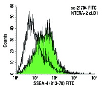 Anti-SSEA-4 Antibody (813-70) | SCBT - Santa Cruz Biotechnology
