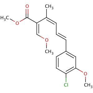 Strobilurin B | CAS 65105-52-4 | SCBT - Santa Cruz Biotechnology