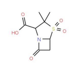 Sulbactam | CAS 68373-14-8 | SCBT - Santa Cruz Biotechnology