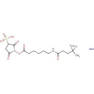 Sulfo-LC-SDA (Sulfo-NHS-LC-Diazirine) | SCBT - Santa Cruz Biotechnology