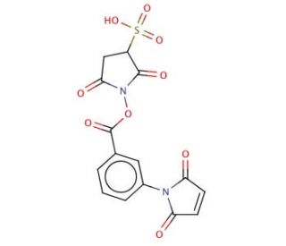 Sulpho MBS | CAS 92921-25-0 | SCBT - Santa Cruz Biotechnology