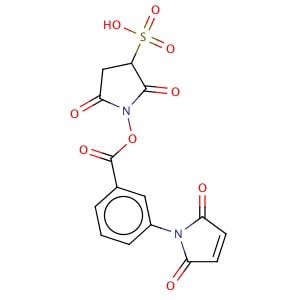 Sulpho MBS | CAS 92921-25-0 | SCBT - Santa Cruz Biotechnology