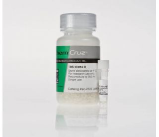 TBS Blotto B | SCBT - Santa Cruz Biotechnology