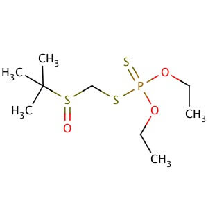 Terbufos-sulfoxide | CAS 10548-10-4 | SCBT - Santa Cruz Biotechnology