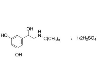 Terbutaline Hemisulfate Salt | CAS 23031-32-5 | SCBT - Santa Cruz ...