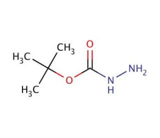tert-Butyl carbazate | CAS 870-46-2 | SCBT - Santa Cruz Biotechnology