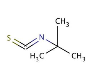 tert-Butyl isothiocyanate | CAS 590-42-1 | SCBT - Santa Cruz Biotechnology