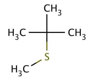 tert-Butyl methyl sulfide | CAS 6163-64-0 | SCBT - Santa Cruz Biotechnology
