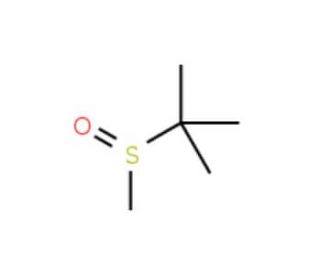 tert-Butyl methyl sulfoxide | CAS 14094-11-2 | SCBT - Santa Cruz ...