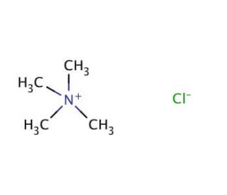 Tetramethylammonium chloride | CAS 75-57-0 | Santa Cruz Animal Health