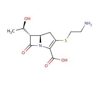 Thienamycin | CAS 59995-64-1 | SCBT - Santa Cruz Biotechnology