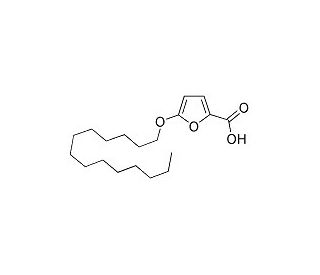 TOFA (5-(Tetradecyloxy)-2-furoic acid) | CAS 54857-86-2 | SCBT - Santa ...