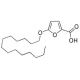 TOFA (5-(Tetradecyloxy)-2-furoic acid) | CAS 54857-86-2 | SCBT - Santa ...