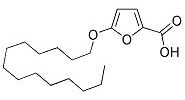 TOFA (5-(Tetradecyloxy)-2-furoic acid) | CAS 54857-86-2 | SCBT - Santa ...