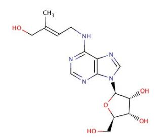 trans-Zeatin Riboside | CAS 6025-53-2 | SCBT - Santa Cruz Biotechnology