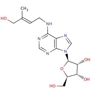 trans-Zeatin Riboside | CAS 6025-53-2 | SCBT - Santa Cruz Biotechnology