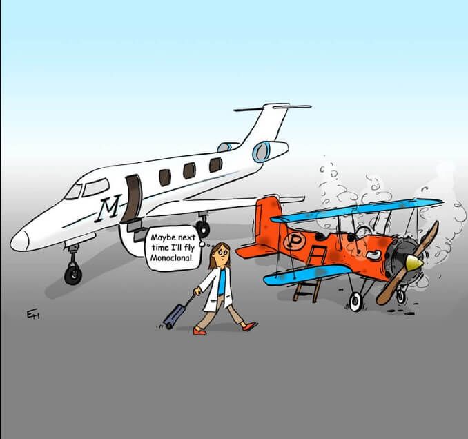 SCBT - Santa Cruz Biotechnology