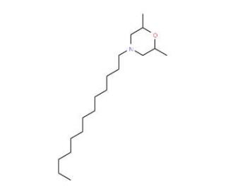 Tridemorph | CAS 24602-86-6 | SCBT - Santa Cruz Biotechnology