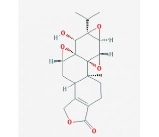 Triptolide | CAS 38748-32-2 | SCBT - Santa Cruz Biotechnology