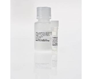 Tris Buffered Saline with Tween 20: powder for 100 ml of 10X | SCBT ...