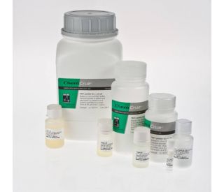 Tris Buffered Saline with Tween 20: powder for 100 ml of 10X | SCBT ...