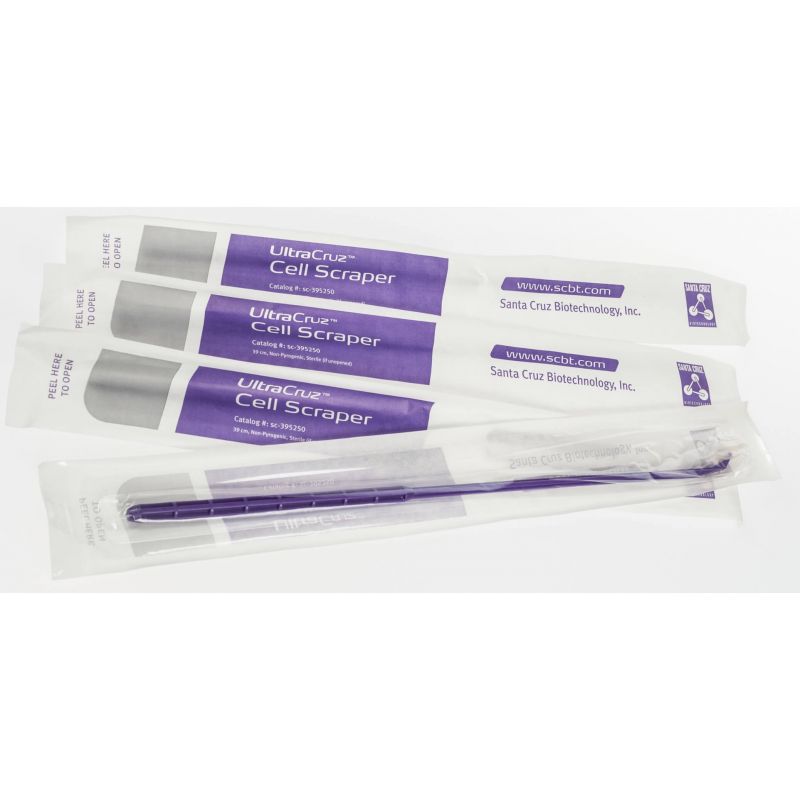 Cell Scraper – UltraCruz® | SCBT - Santa Cruz Biotechnology