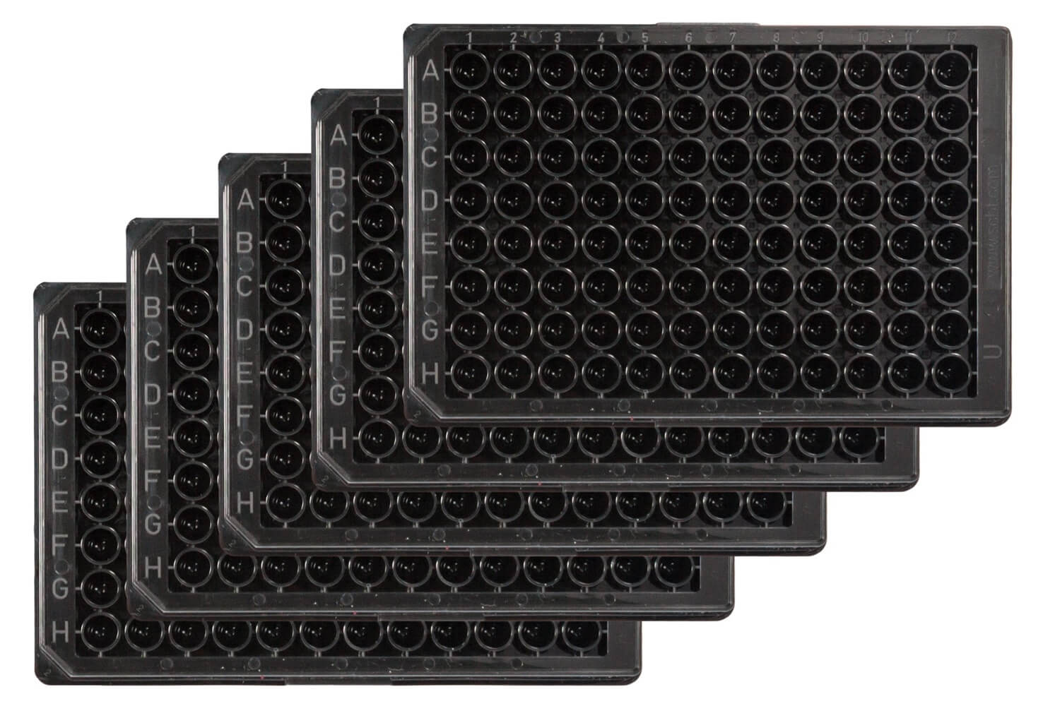 UltraCruz® Fluorescence Multiwell Microplates | SCBT - Santa Cruz ...