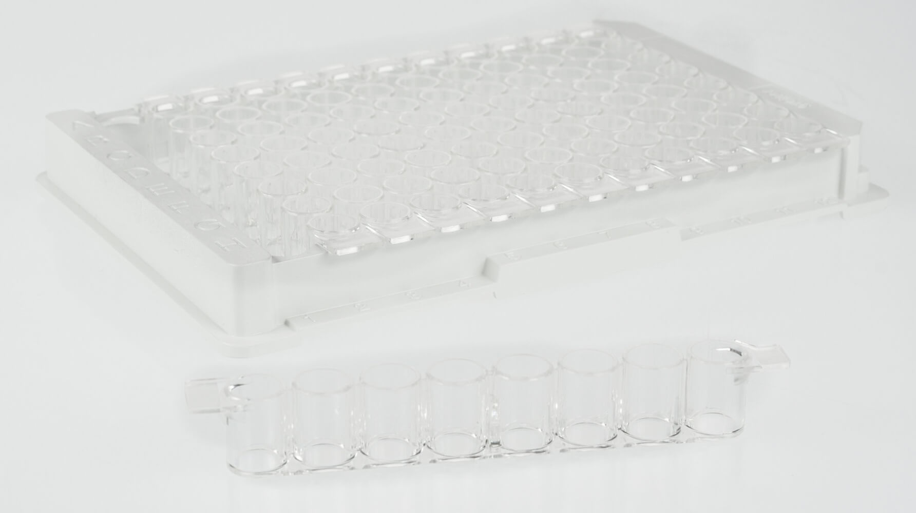 UltraCruz® High Binding ELISA Multiwell Microplates | SCBT - Santa Cruz ...