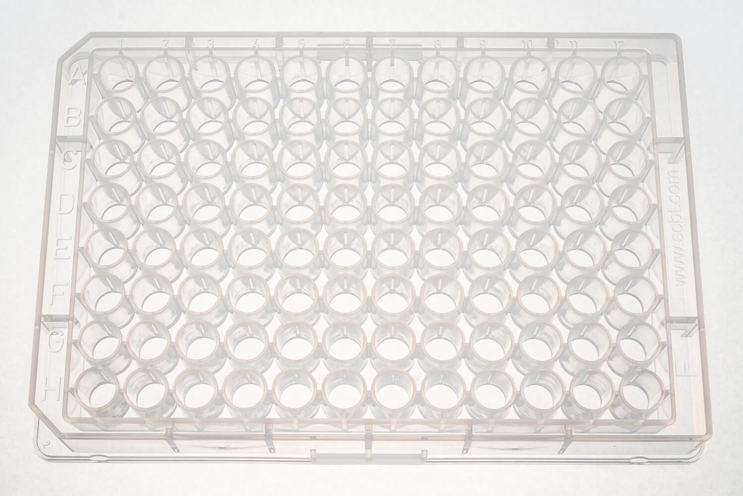 UltraCruz® Polypropylene Storage Multiwell Microplates | SCBT - Santa ...