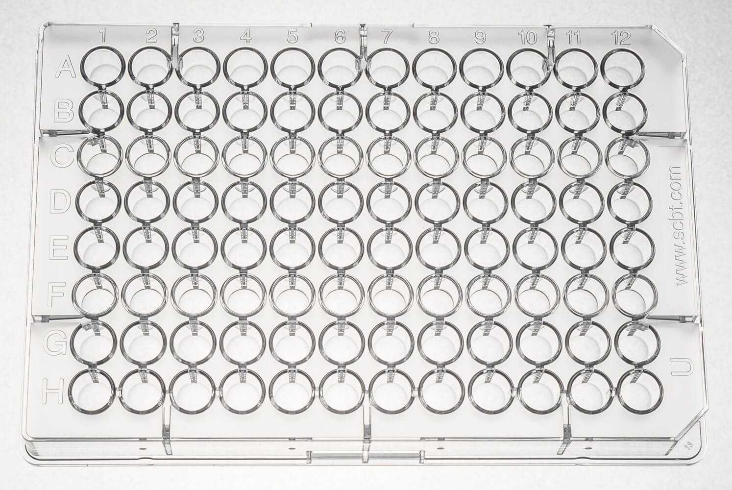 Polystyrene Storage Multiwell Microplates – UltraCruz® | SCBT - Santa ...