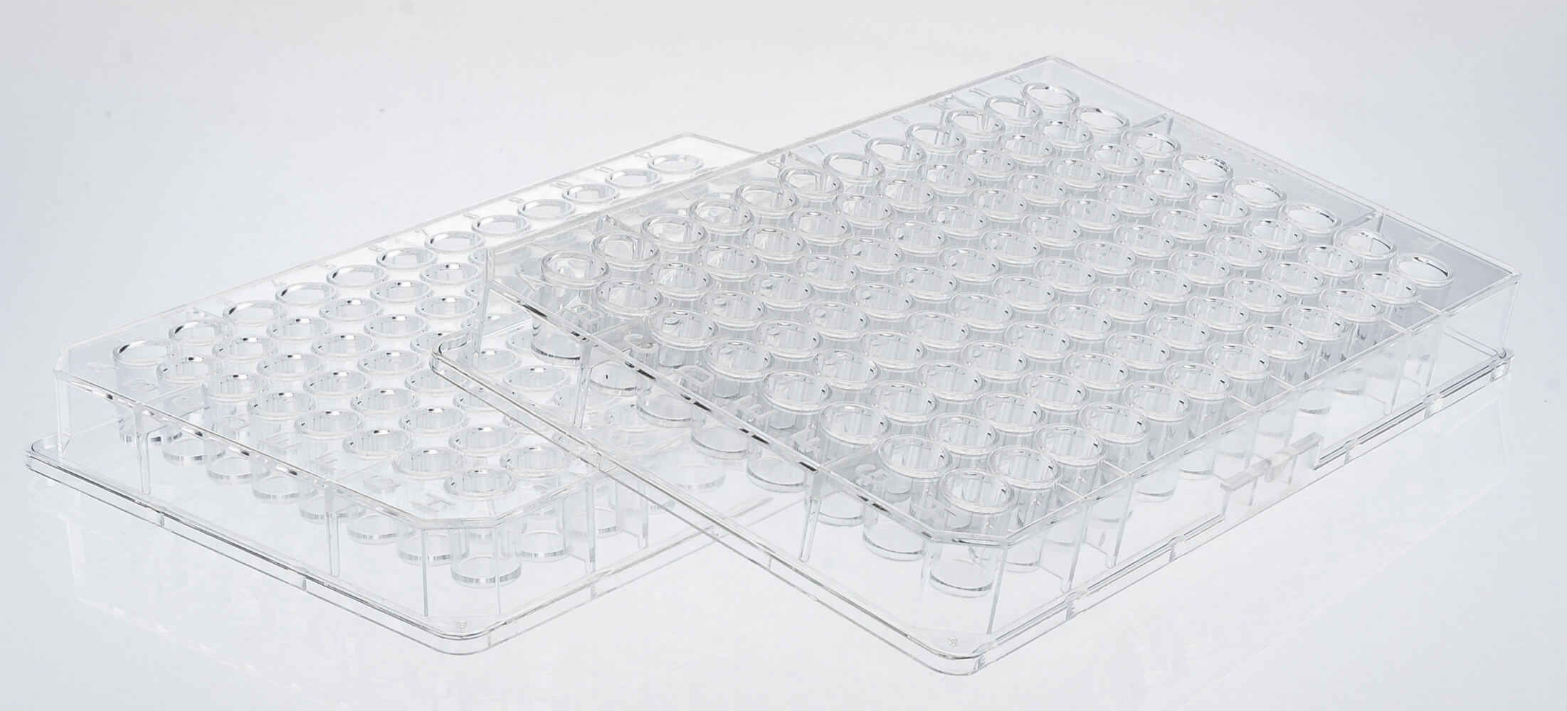 Polystyrene Storage Multiwell Microplates – UltraCruz® | SCBT - Santa ...