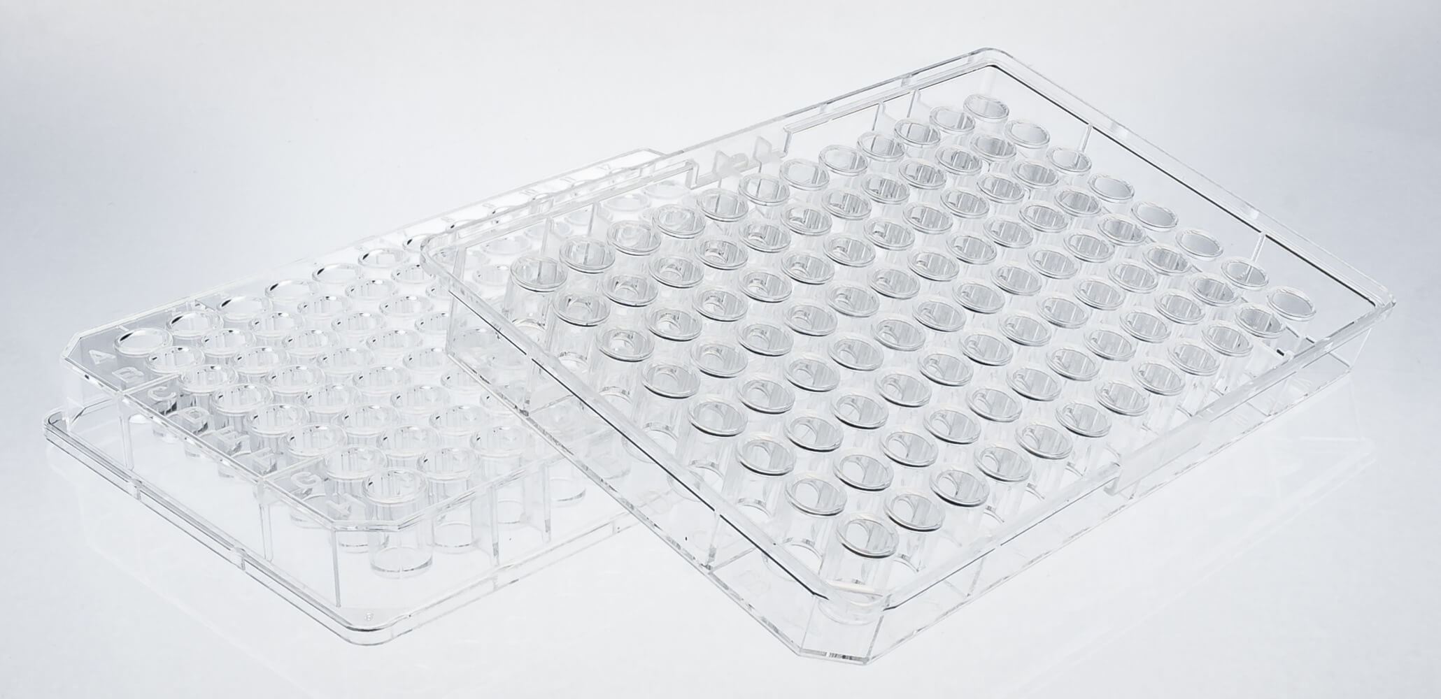 Polystyrene Storage Multiwell Microplates – UltraCruz® | SCBT - Santa ...
