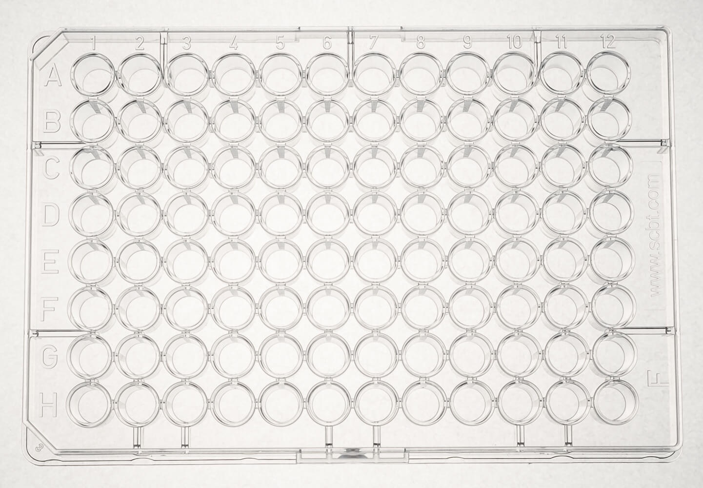 Polystyrene Storage Multiwell Microplates – UltraCruz® | SCBT - Santa ...