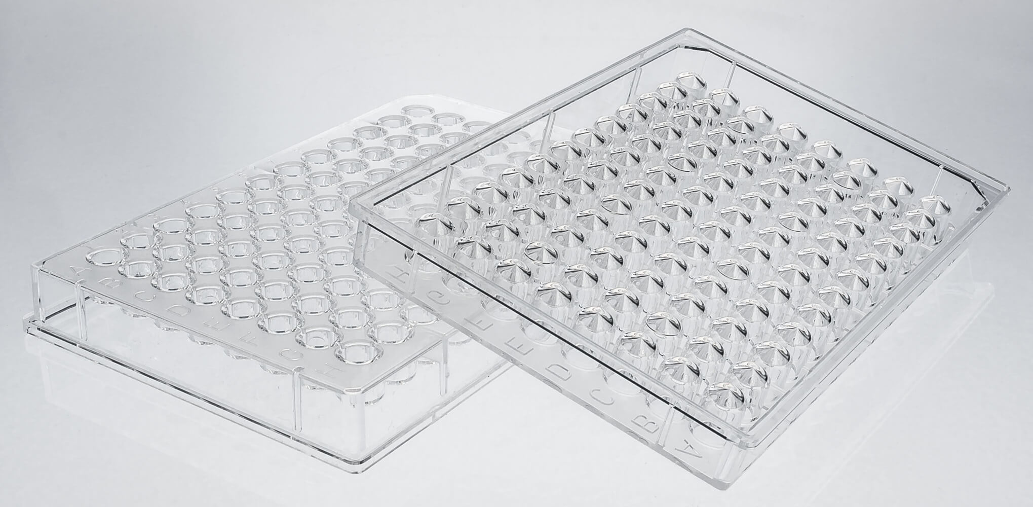 UltraCruz® Polystyrene Storage Multiwell Microplates | SCBT - Santa ...