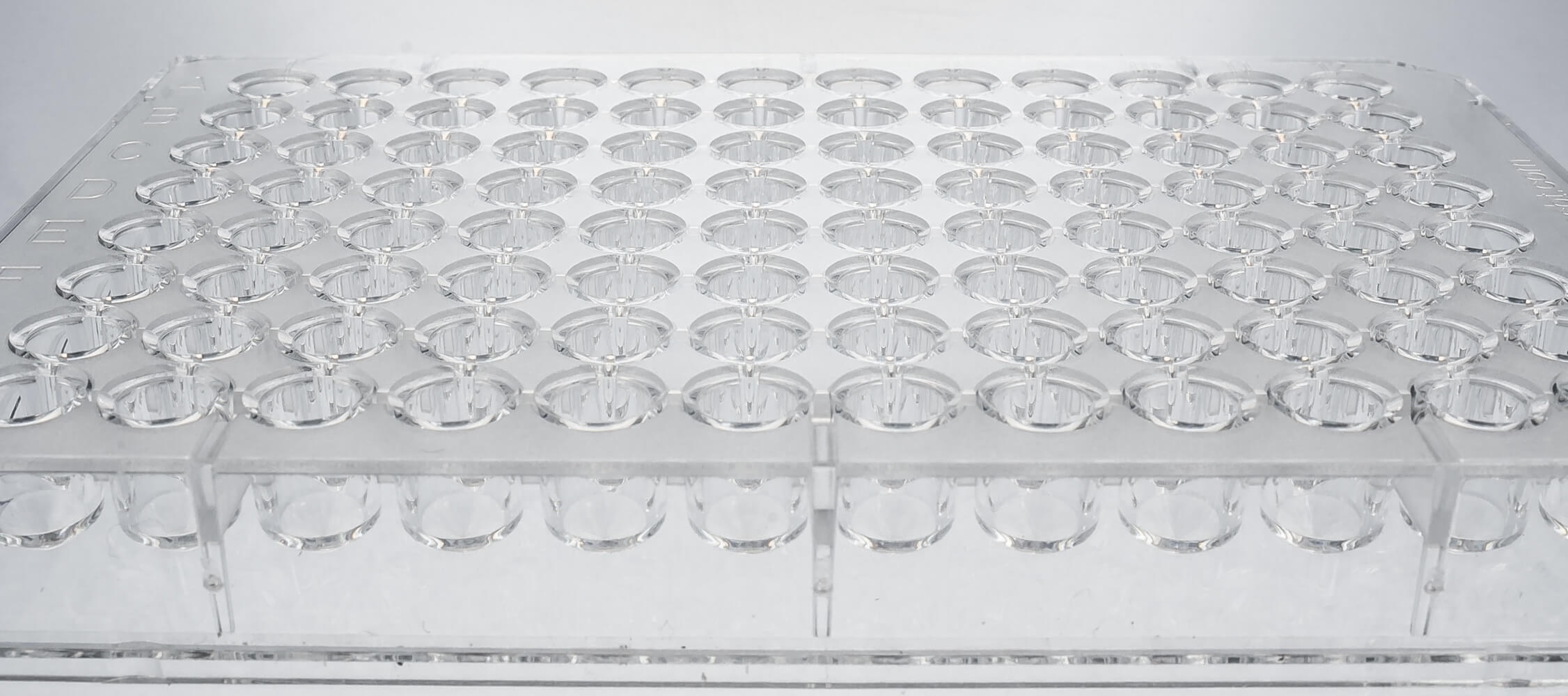 Polystyrene Storage Multiwell Microplates – UltraCruz® | SCBT - Santa ...