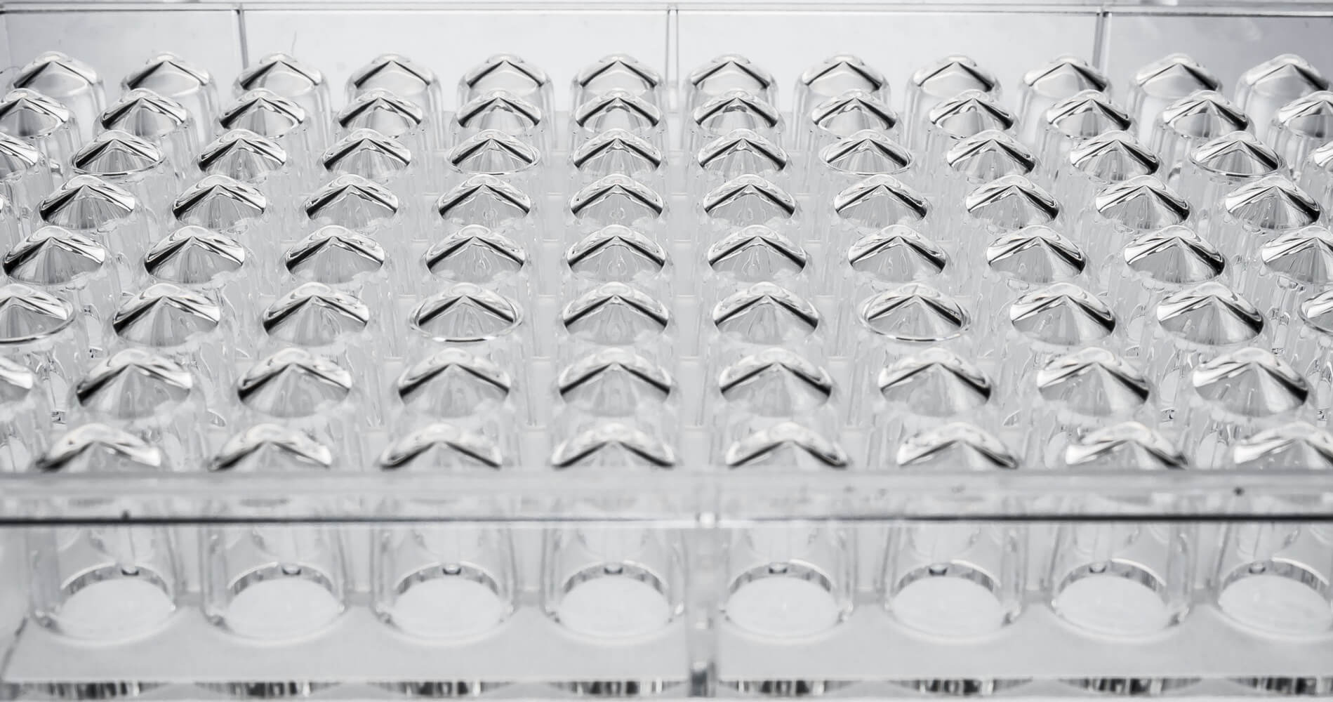 UltraCruz® Polystyrene Storage Multiwell Microplates | SCBT - Santa ...