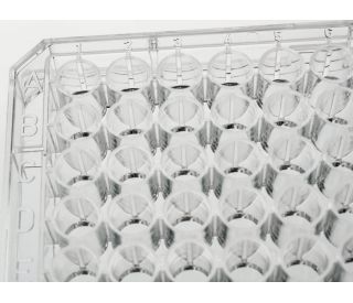 UltraCruz UV Plate, 96 well, Flat bottom, 40/case: sc-213228...