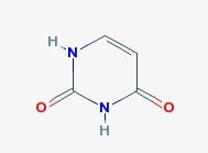 Uracil Vs Thymine Structure