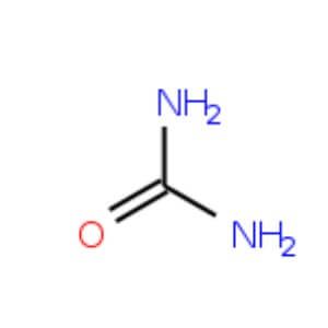 Urea, 2M | CAS 57-13-6 | SCBT - Santa Cruz Biotechnology