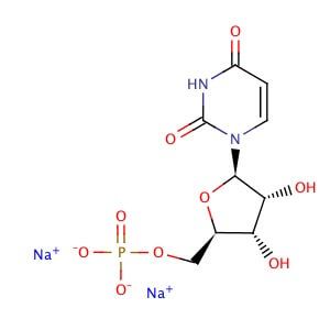 Uridine 5′-monophosphate disodium salt | CAS 3387-36-8 | SCBT - Santa ...