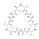 Valinomycin | CAS 2001-95-8 | SCBT - Santa Cruz Biotechnology