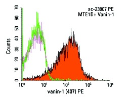 vanin-1 Antibody (407) | SCBT - Santa Cruz Biotechnology