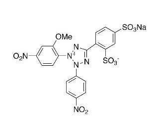 WST-8 | CAS 193149-74-5 | SCBT - Santa Cruz Biotechnology