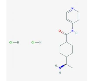 Y-27632 dihydrochloride | CAS 129830-38-2 | SCBT - Santa Cruz Biotechnology
