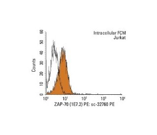 ZAP-70 Antibody (1E7.2) | SCBT - Santa Cruz Biotechnology