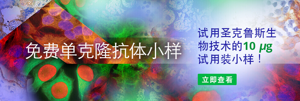 Santa Cruz Biotechnology